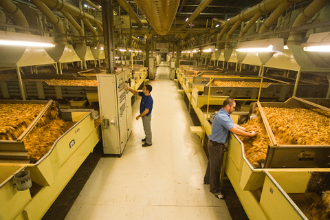 Universal Leaf transfere operação para o Estado